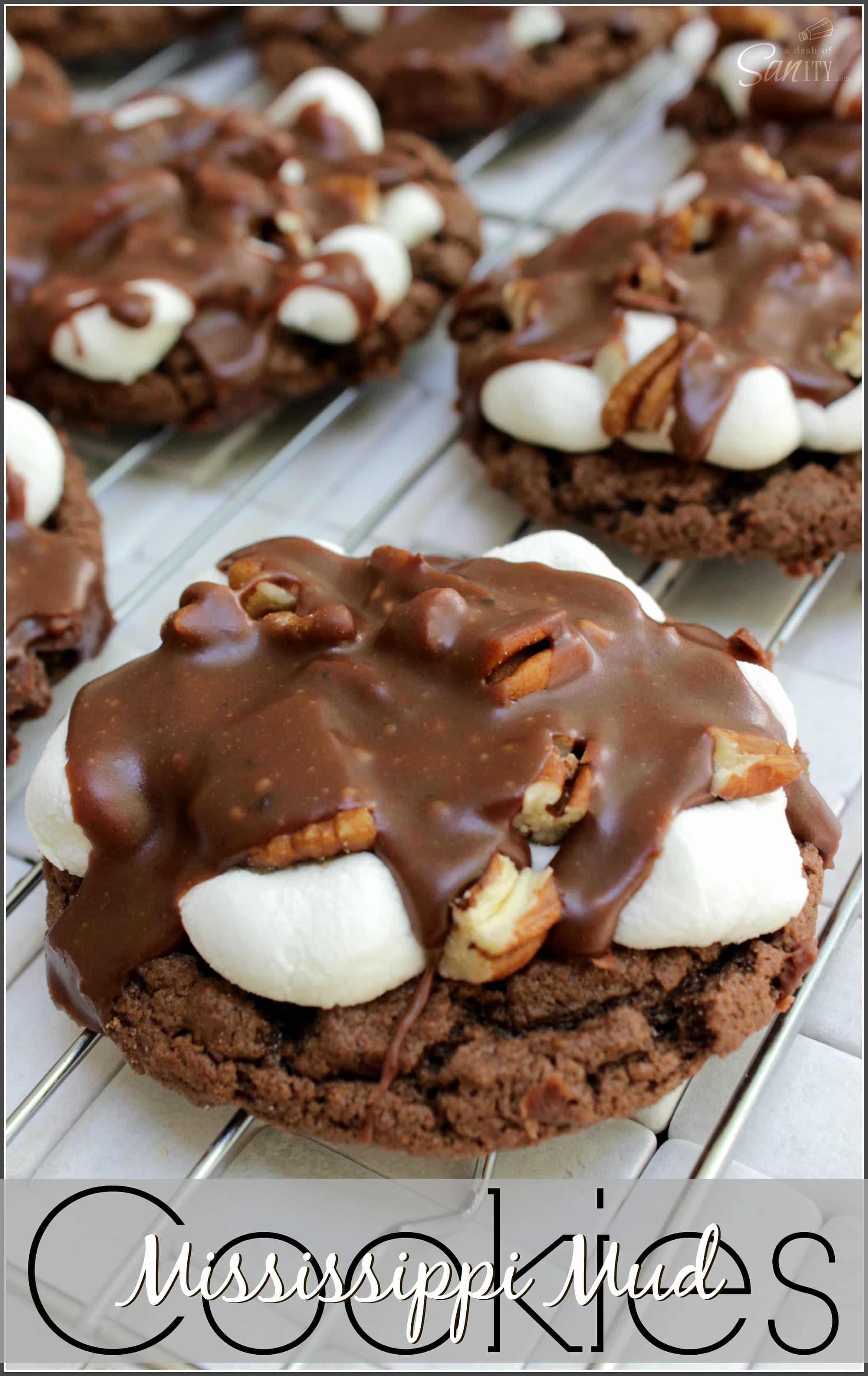 Mississippi Mud Cookies - A Dash of Sanity