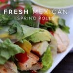Fresh Mexican Spring Rolls
